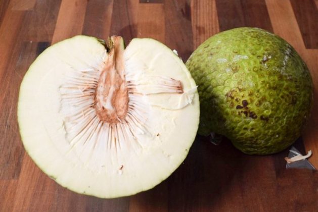 Os 11 Benefícios da Fruta-Pão Para Saúde – Celeiro do Brasil