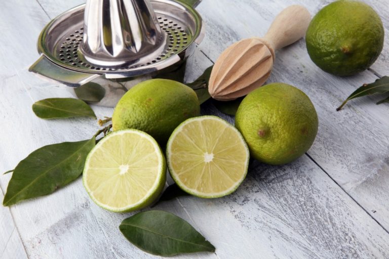 4 Remédios Caseiros Usando Limão – Celeiro do Brasil