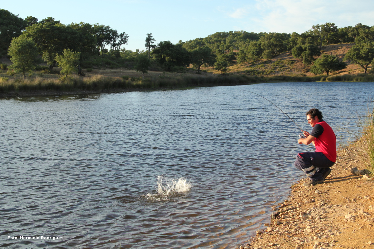 Cinco regras de ouro para pescar no Verão – Celeiro do Brasil